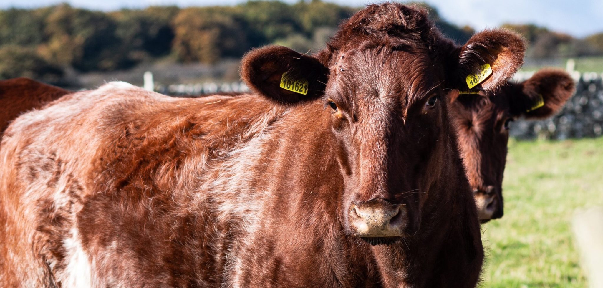 Why The Peak District? - Beyond Venues